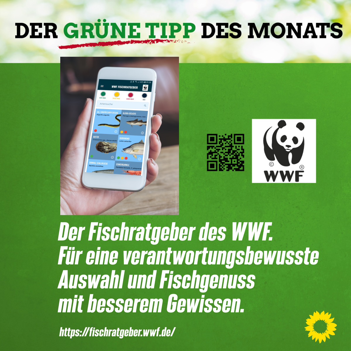 Der Grüne Tipp des Monats: Der Fischratgeber des WWF: Du isst gerne ...